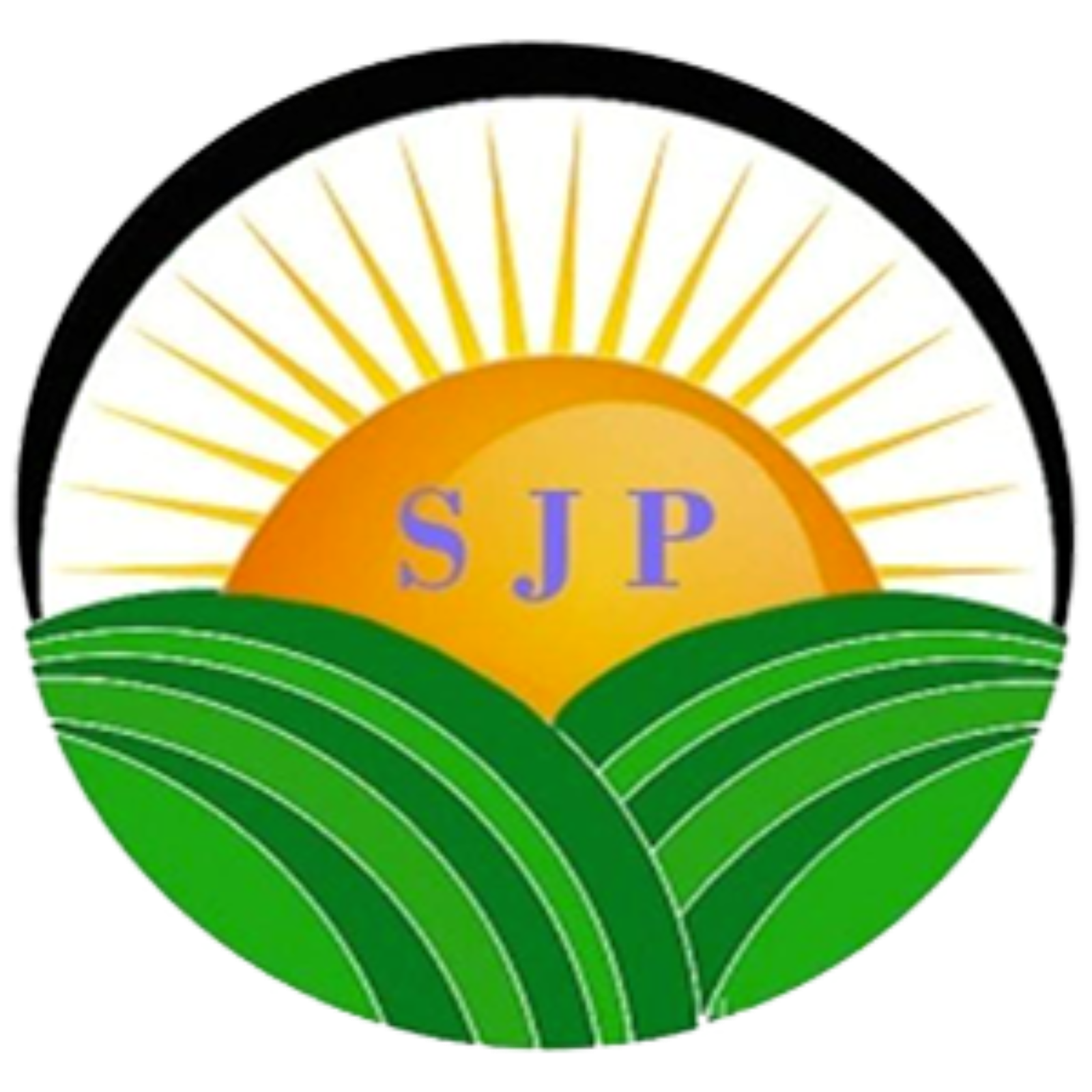 JSP Set to Dominate Mogadishu Local Elections as Race for Runner-Up ...
