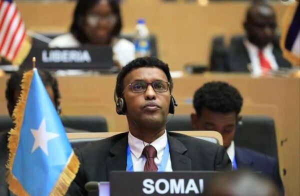 Ambassador Warfaa Announces Planned Somali National Army Deployment to ...